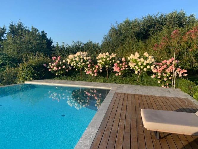 Swimming Pool Specialist in Nyon | IDpiscine